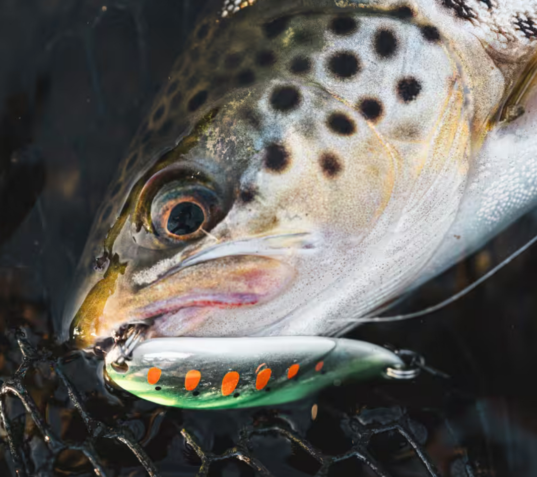 caperlan-owuzkt8w – Eurotackle