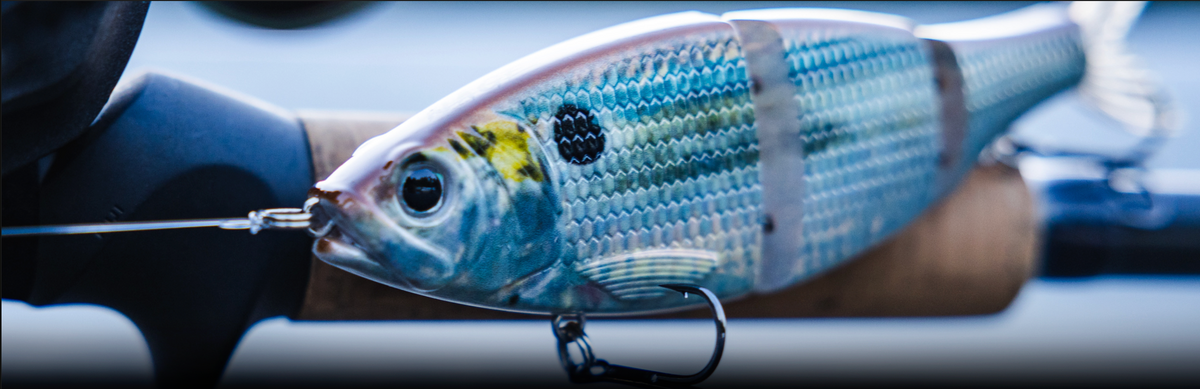 Eurotackle | Innovating Fishing Lures & Tackle