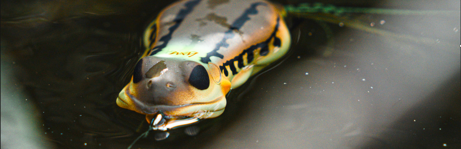Eurotackle | Innovating Fishing Lures & Tackle