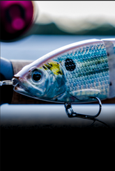 Eurotackle | Innovating Fishing Lures & Tackle